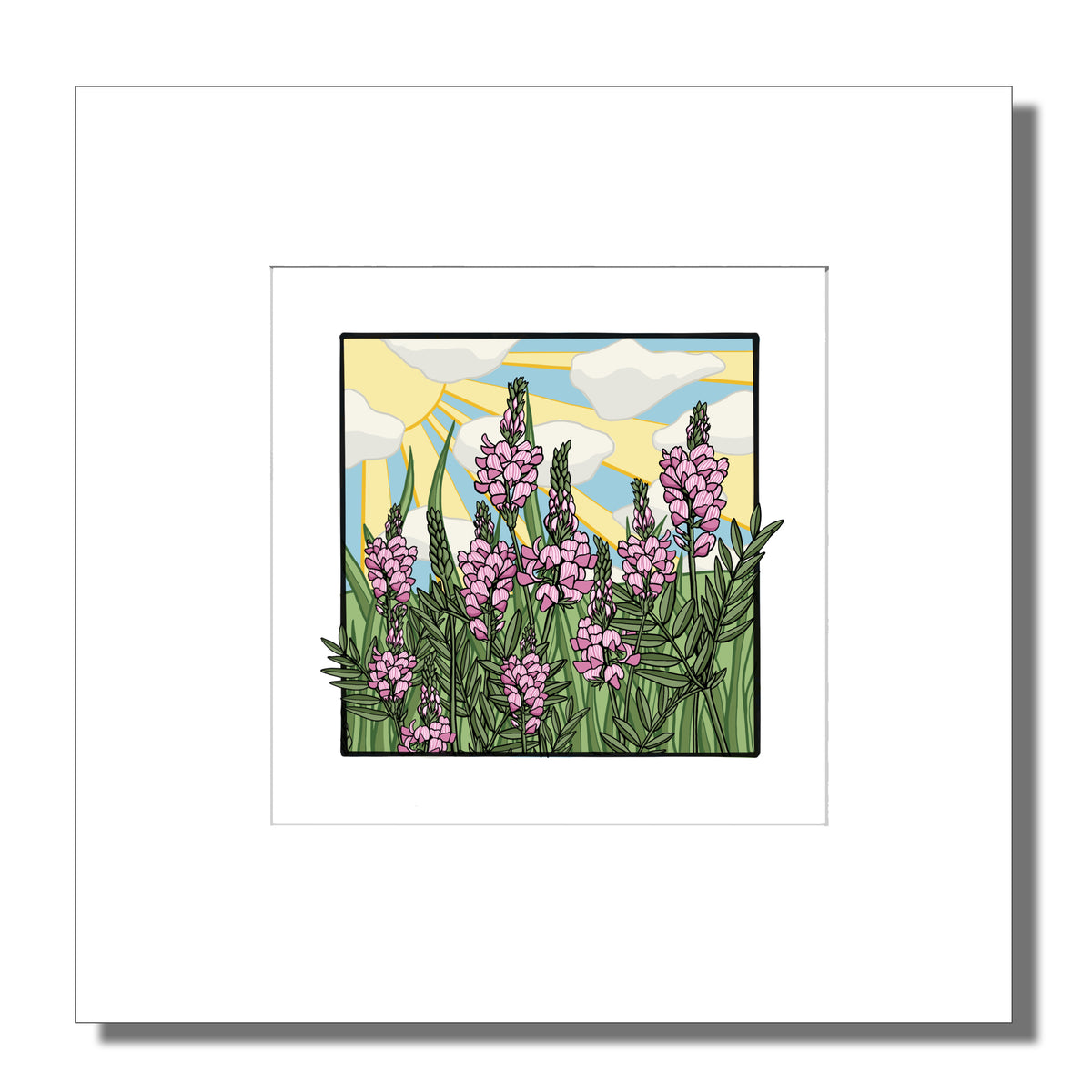 Meadow Series - Sainfoin Mounted Digital Print | Zoe Howard